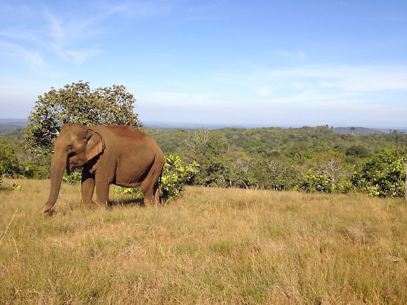 Mondolkiri, une région au charme authentique - Séjours au Cambodge